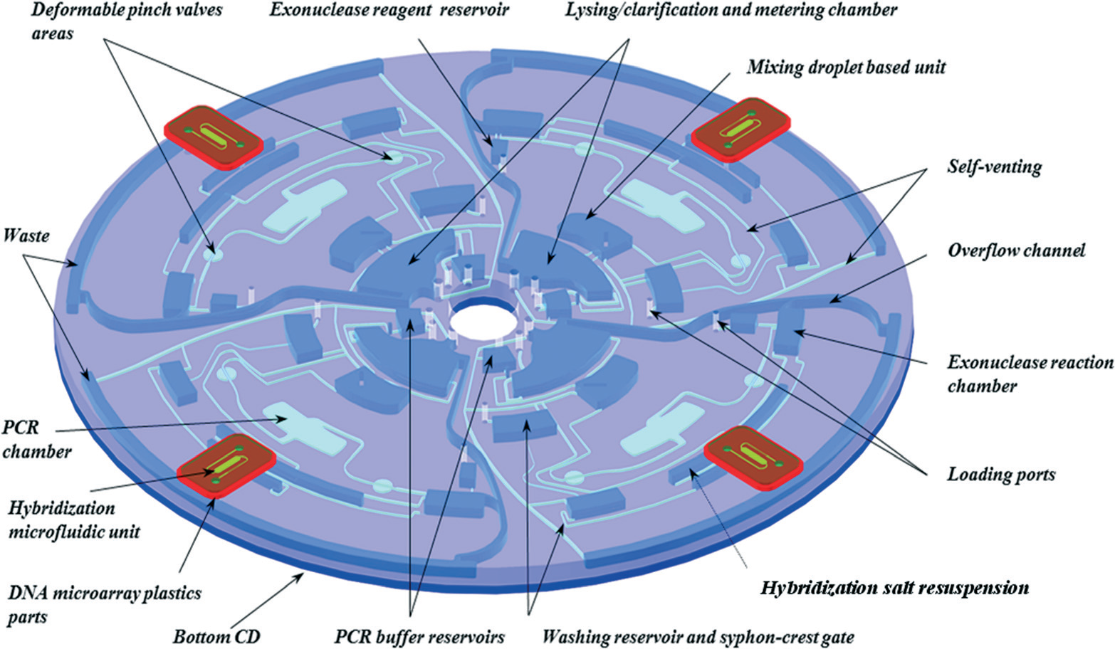 Figure 2: Representation of the Lab-on-Disc device showing four ...