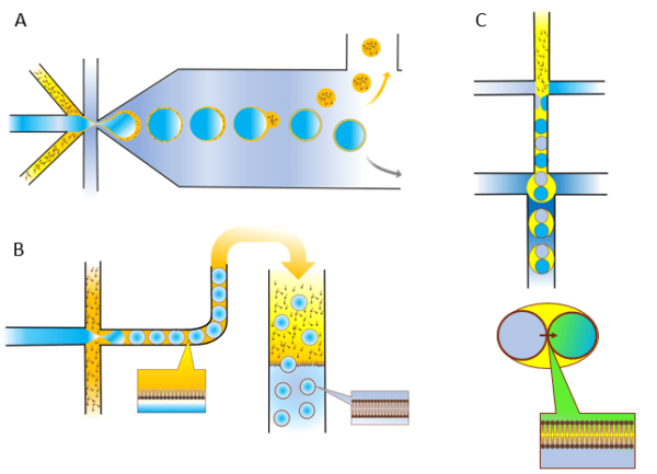 How Could Microfluidic Techniques Be Used To Improve Artificial Cell Development