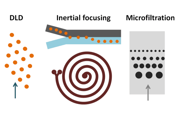 Microfluidic cell sorters: Highly accurate, affordable, and ...