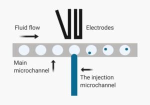 Essential microfluidic techniques for manipulating droplets