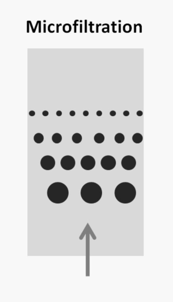 Passive microfluidic cell sorters as a tool for effective cell sorting ...