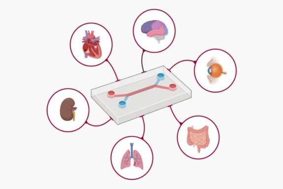 Microfluidics Applications | uFluidix