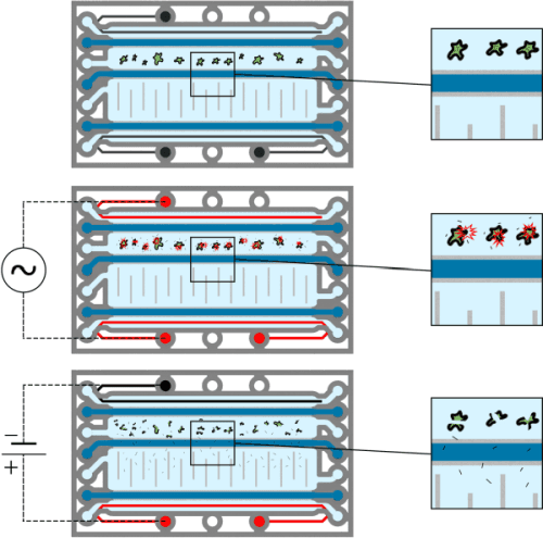 Lab On A Chip For Rapid Mirna Extraction Ufluidix