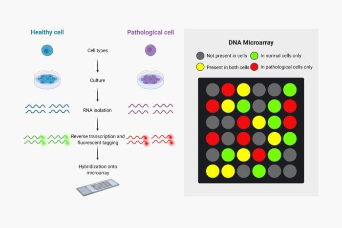 Microfluidic Devices for Microarray Patterning & Assays | uFluidix