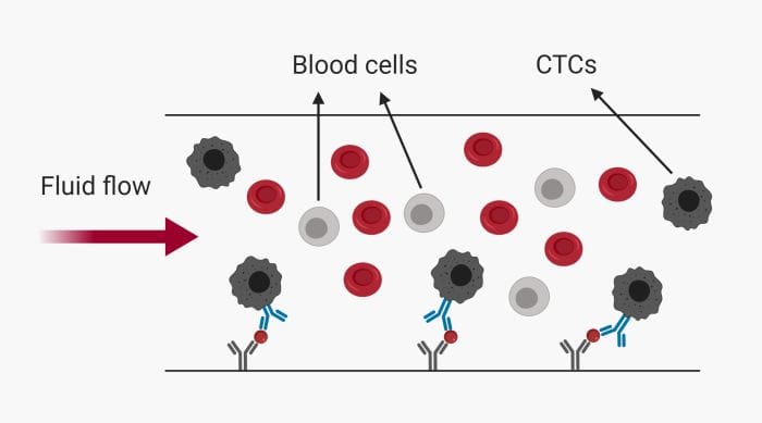 Circulating tumor cells capture using microfluidic chips - uFluidix