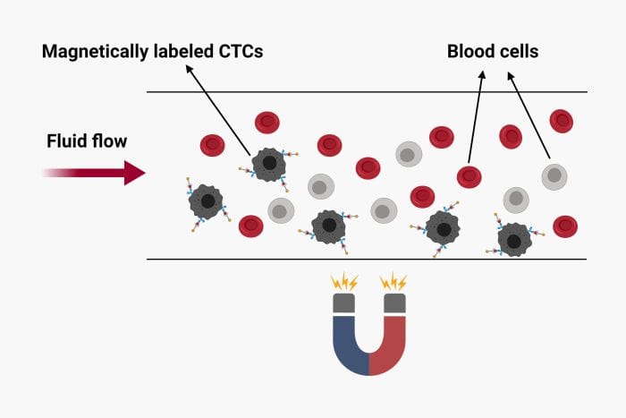 Circulating tumor cells capture using microfluidic chips - uFluidix