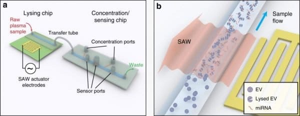 Microfluidic Chips for Exosome Research | uFluidix