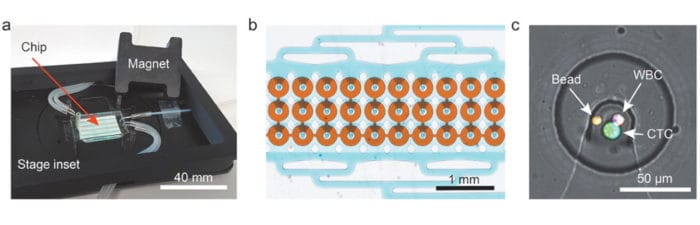 Multi-layer microfluidic chip to quantify protein secretion in CTCs ...