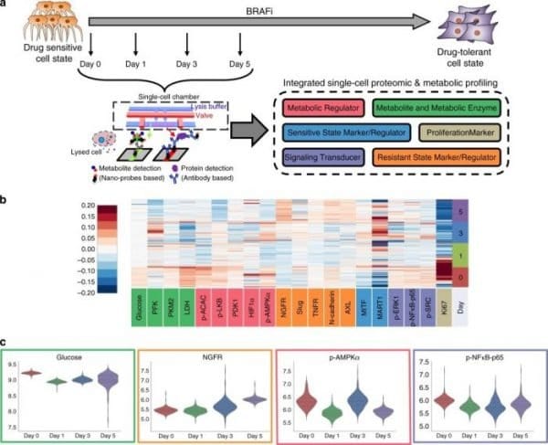 Microfluidic single-cell barcode chip (SCBC) | uFluidix