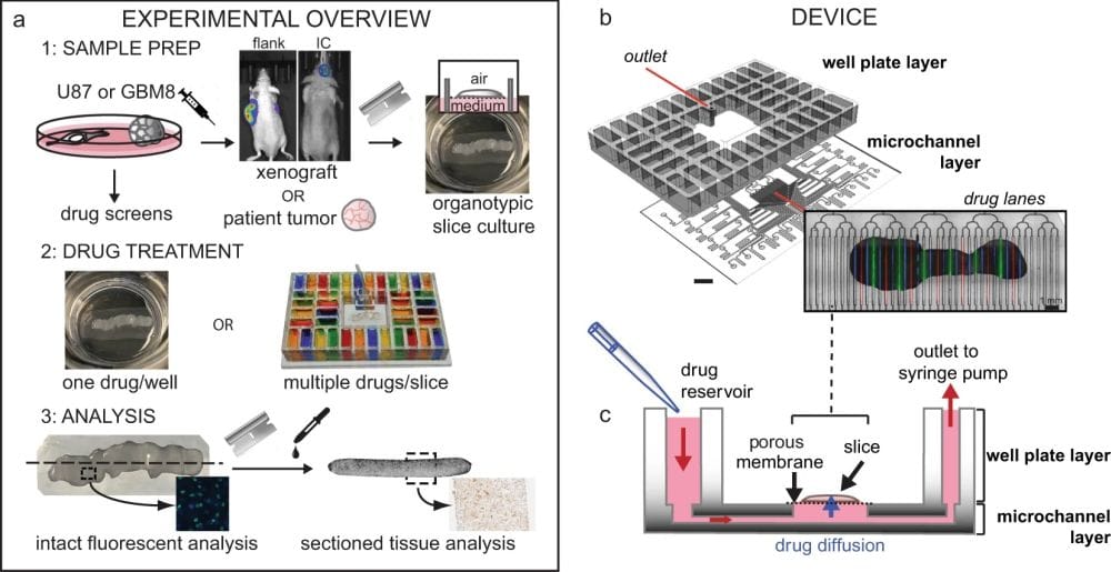 Microfluidic drug delivery to tumor slice cultures | uFluidix