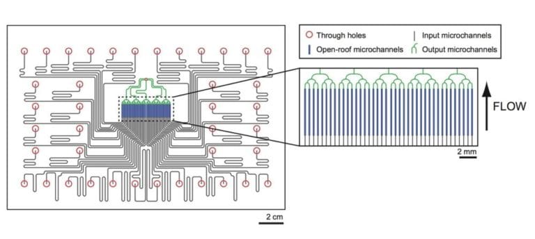 Microfluidic drug delivery to tumor slice cultures | uFluidix