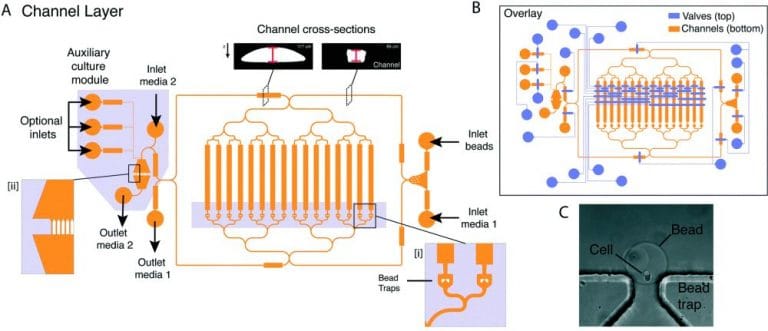 Microfluidic platform enables live imaging and retrieval of single ...