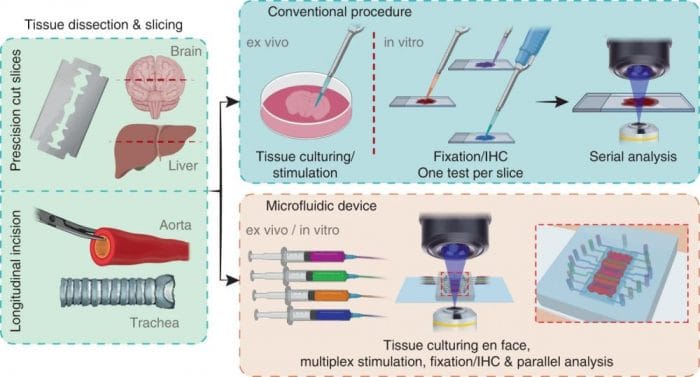 Multiplex Ex-Vivo Assays on Tissue Slices with Microfluidics