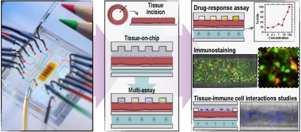 Multiplex Ex-Vivo Assays on Tissue Slices with Microfluidics