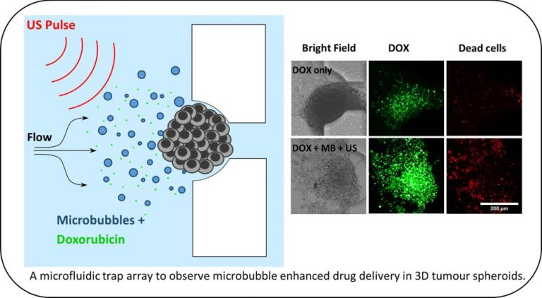 Researchers use microfluidic technology for observing microbubble