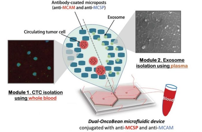 Dual Isolation of CTCs and Cancer-derived Exosomes | uFluidix