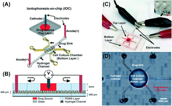 microfluidic chip cancer tumour cells | uFluidix
