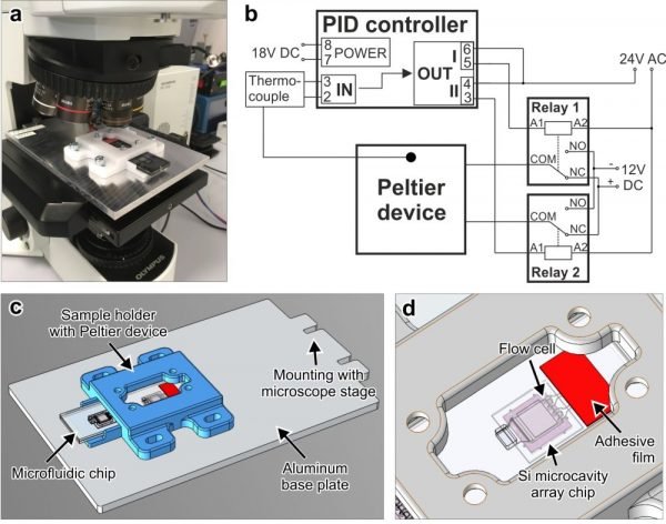 Fusion of microfluidics & MEMS for DNA quantification