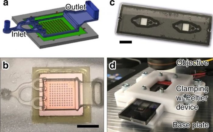 Fusion of microfluidics & MEMS for DNA quantification