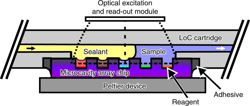 Fusion of microfluidics & MEMS for DNA quantification