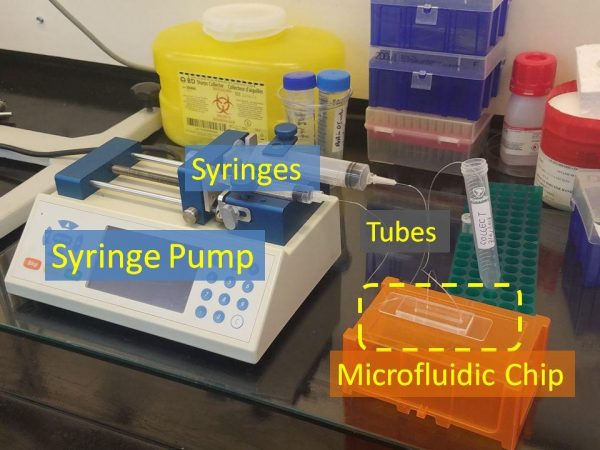 Microfluidic Chips: Definition, Functions, Applications | uFluidix