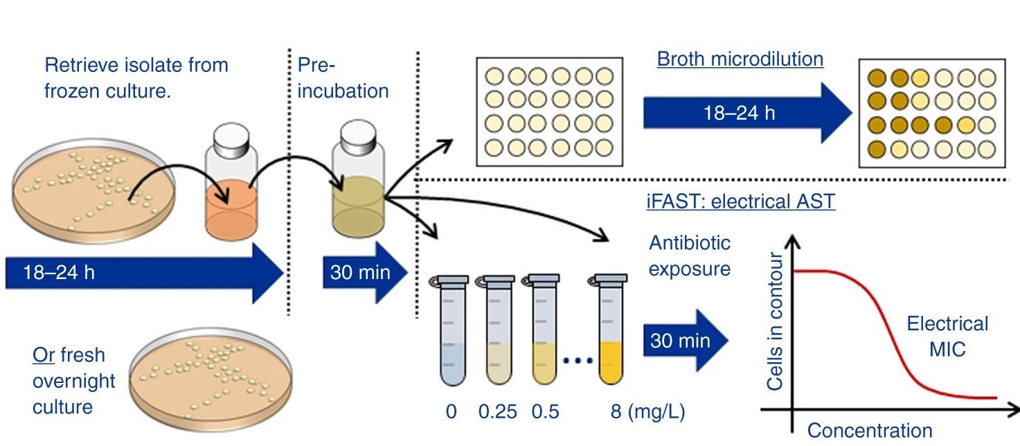 Microfluidic Platform for Rapid Antibiotic Susceptibility Tests