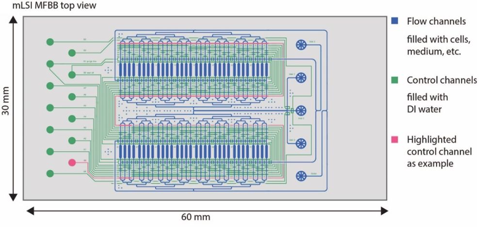 Modular microfluidic platforms for parallel cell culturing - uFluidix