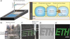 Microfluidics technology for investigating reaction cascades in ...