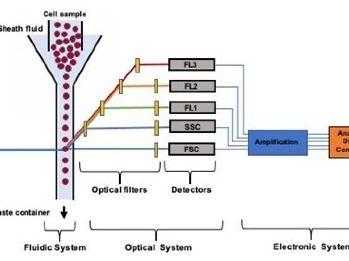 Sony Flow Cytometry