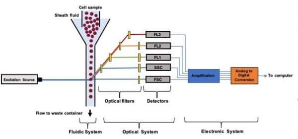 Cell Characterization Using Microfluidic Flow Cytometry | uFluidix
