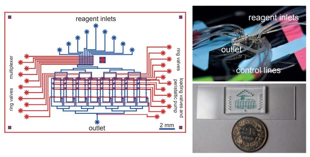 Microfluidics Advances Self-Regenerating Synthetic Cells