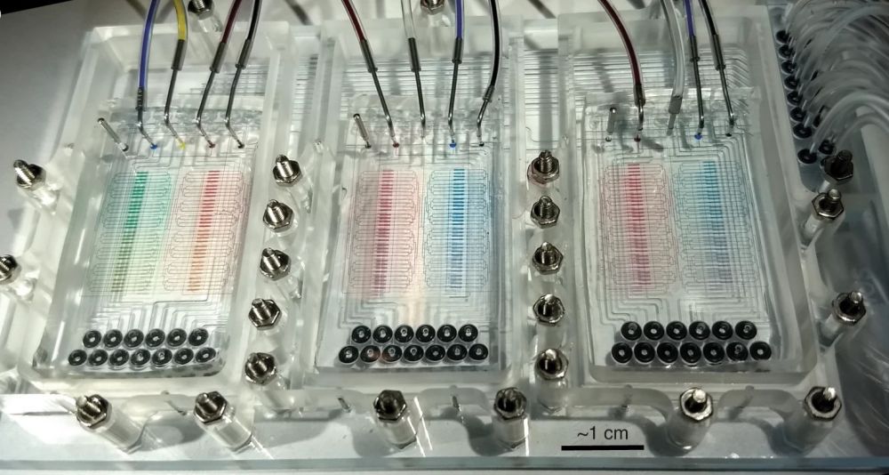 Modular microfluidic platforms for parallel cell culturing - uFluidix