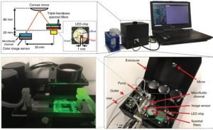 Cell Characterization Using Microfluidic Flow Cytometry | uFluidix