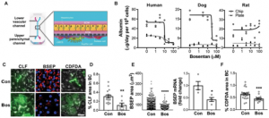 Liver on a chip- Recent Microfluidics Advances - uFluidix