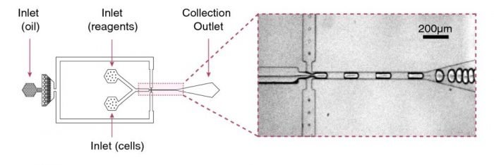 Droplet Microfluidic Single-cell Analysis | uFluidix