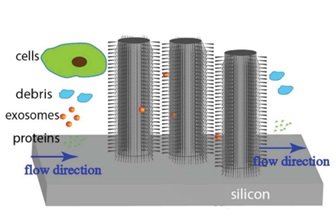 Exosome Separation Using Microfluidics- An Overview - uFluidix