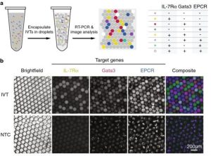 Droplet Microfluidic Single-cell Analysis | uFluidix