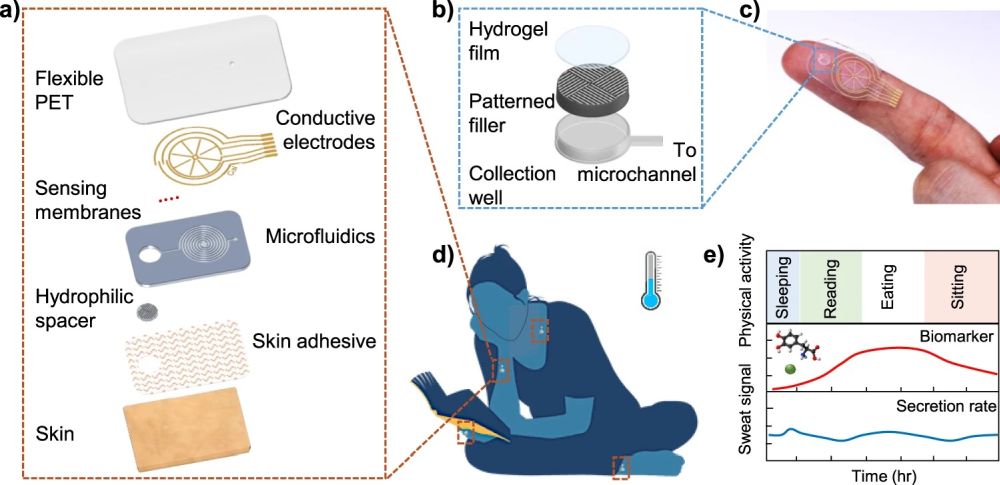 Microfluidic Patch: Analysis of Thermoregulatory Sweat At Rest