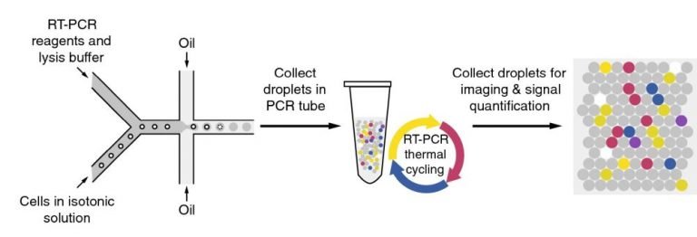 Droplet Microfluidic Single-cell Analysis | uFluidix