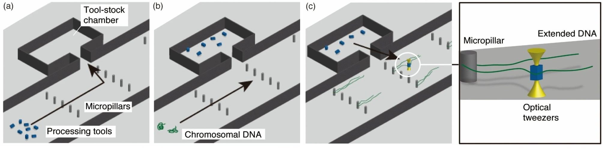 Microfluidic Workbench | Microfluidics | uFluidix