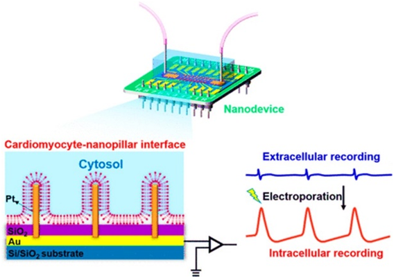 Heart on a chip- Review of Recent Microfluidics Research - uFluidix
