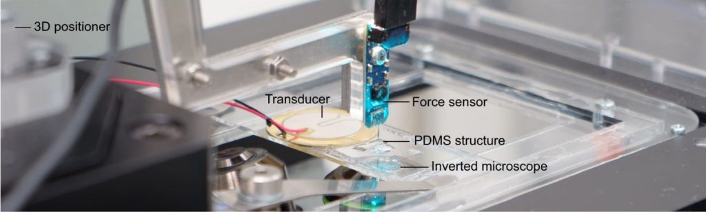 Microfluidics | 3D Analysis of a Single Cell and Organisms | uFluidix