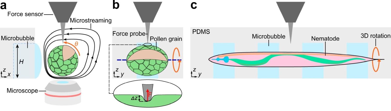 Microfluidics | 3D Analysis of a Single Cell and Organisms | uFluidix