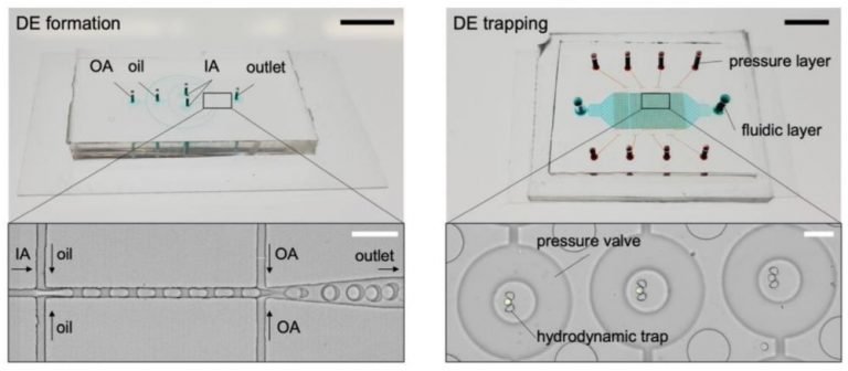 Reagent delivery for gene expression in double emulsions | uFluidix