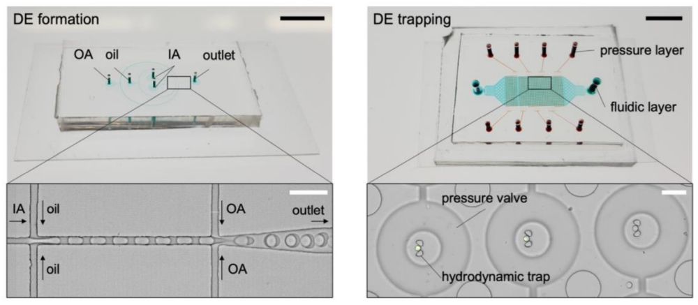 Reagent delivery for gene expression in double emulsions | uFluidix