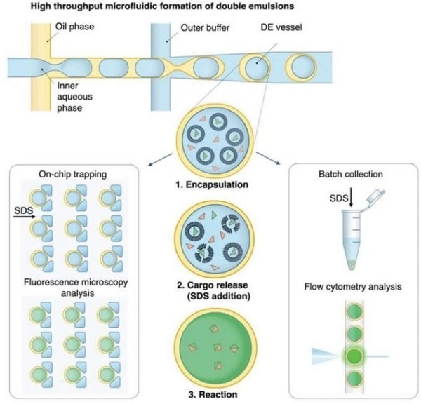 Reagent delivery for gene expression in double emulsions | uFluidix