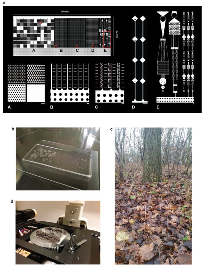 Microfluidic Chips for in-situ Analysis of Soil Microbes | uFluidix