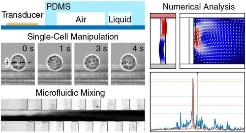 Microfluidics: Platform to Trap and Rotate Single Cells | uFluidix