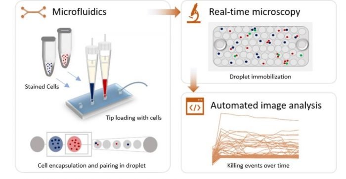 Microfluidics on Analysis of Single Natural Killer Cells | uFluidix