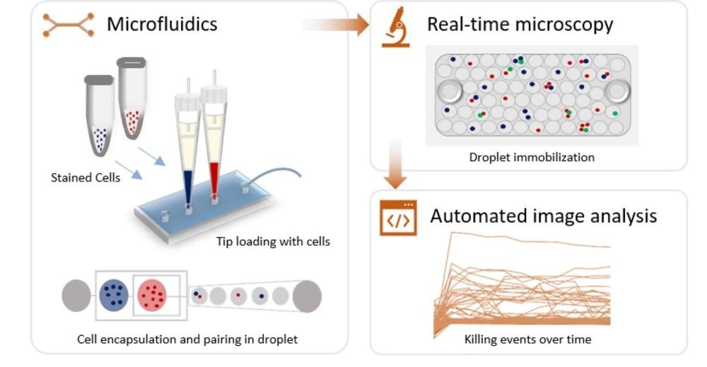 Microfluidics on Analysis of Single Natural Killer Cells | uFluidix